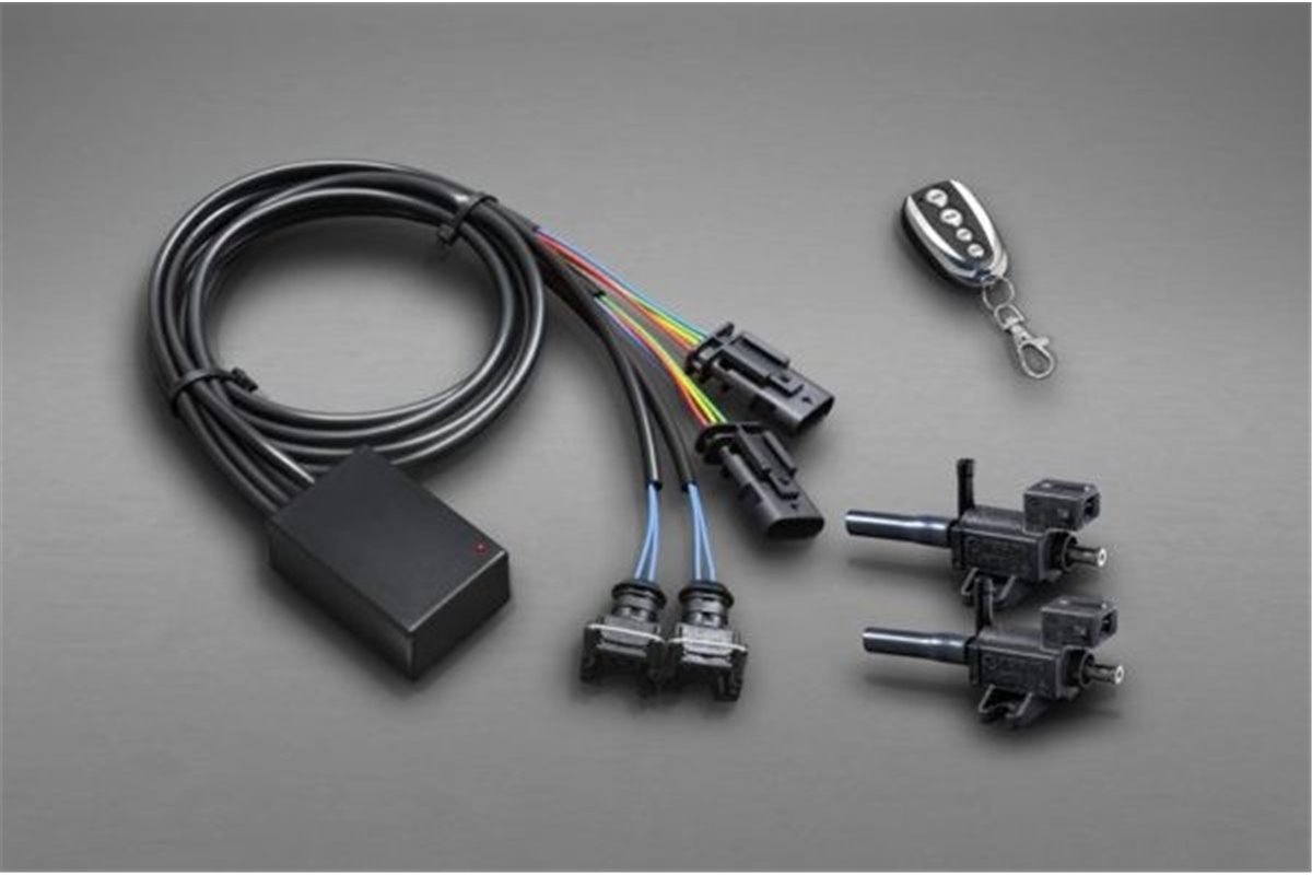 Terminal exhaust with ECE valve with central pipes and oval terminals ...